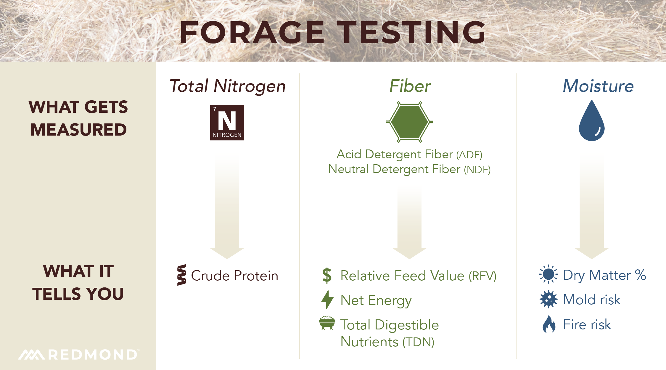 Testing And Improving Forage Quality